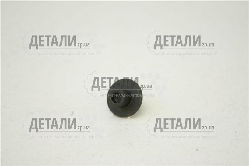 Болт М6х15х1.25 водяного насоса Ланос, Авео, Лачетті, Нубіра Корея ...